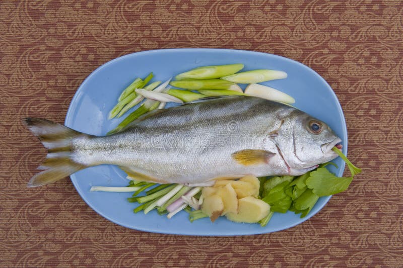 Fish in the plate stock photo. Image of cooking, bass - 23252814