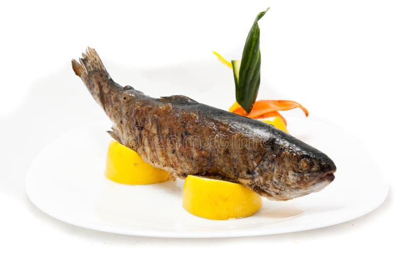 Fish on plate stock photo. Image of lemons, plate, healthy - 24522052