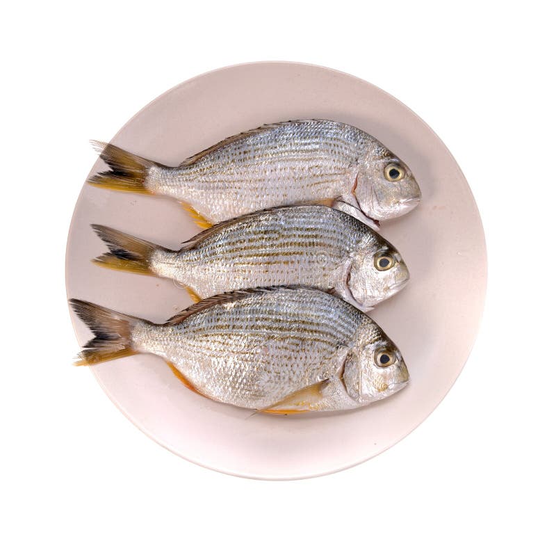 Fish in the plate stock image. Image of seafood, freshness - 30791131