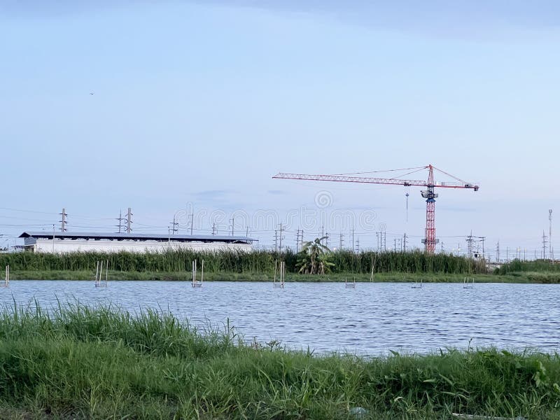 Fish Pond in Country Chachoengsao at Thailand Stock Photo - Image of ...