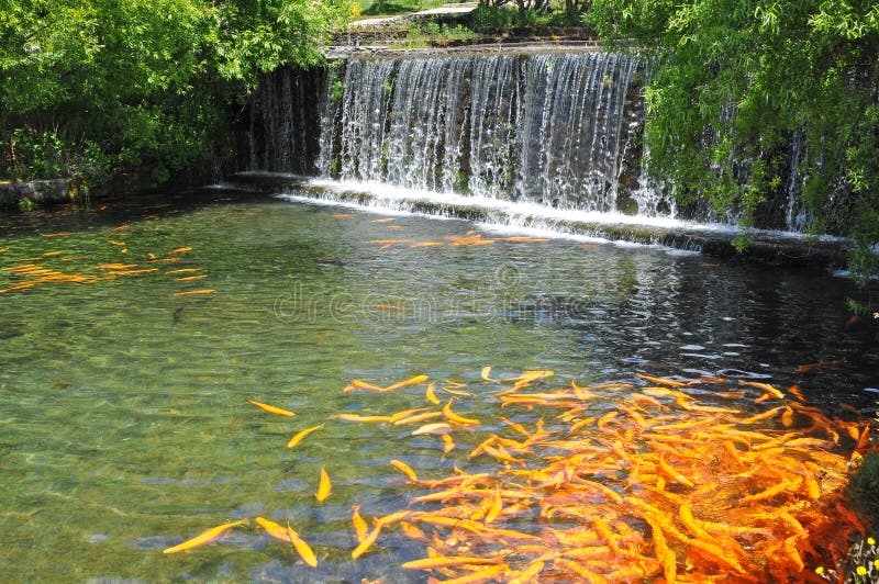 Fish Pond in the Park stock image. Image of beautiful - 20124731
