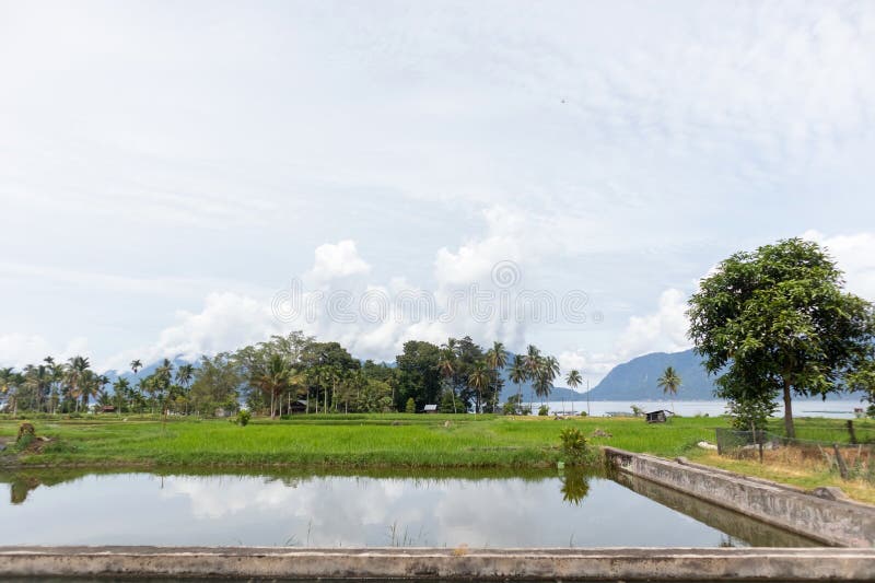 Fish Pond and Rice Fields on the Edge of a Lake Surrounded by Hills in ...