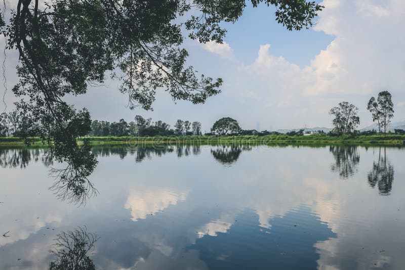 The Fish Pond at Shan Pui Tsuen 29 July 2012 Stock Image - Image of ...