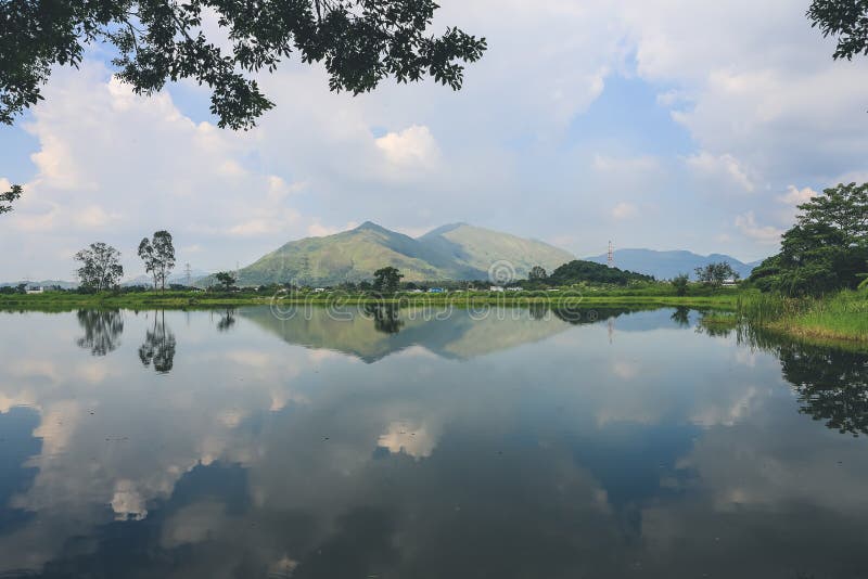 The Fish Pond at Shan Pui Tsuen 29 July 2012 Stock Image - Image of ...