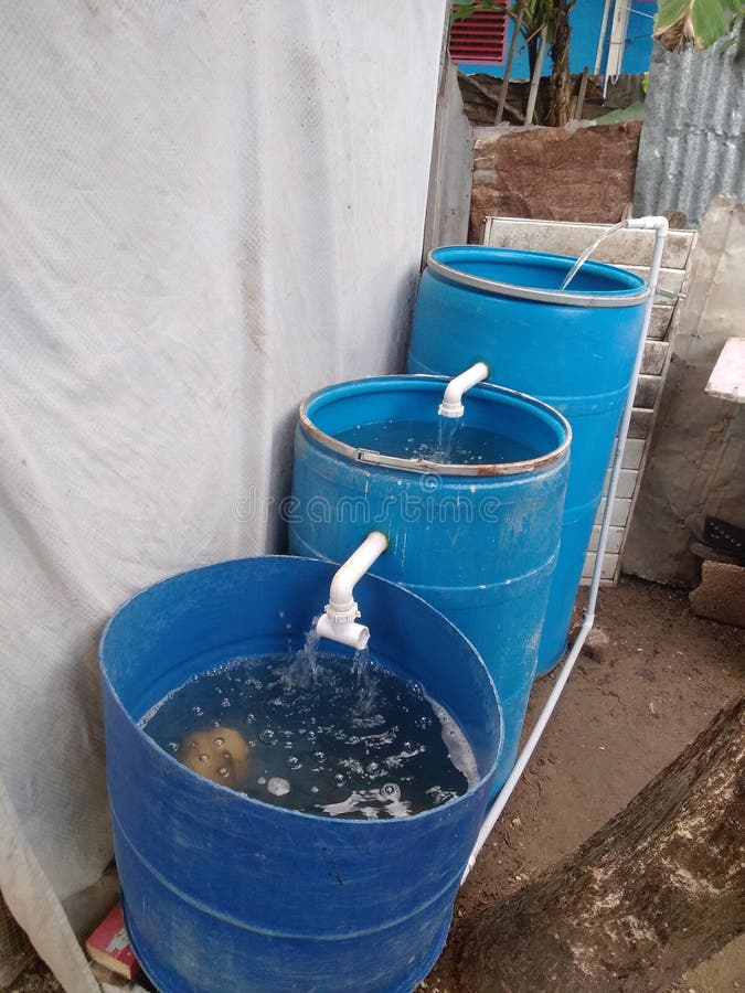 Fish pond plastic drum stock image. Image of window - 224377771