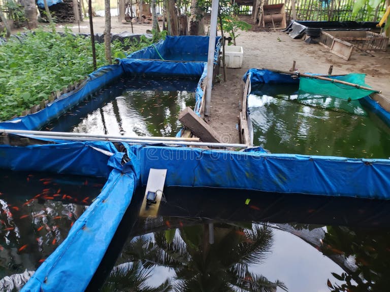 Tarpaulin Ponds Stock Photos - Free & Royalty-Free Stock Photos from ...