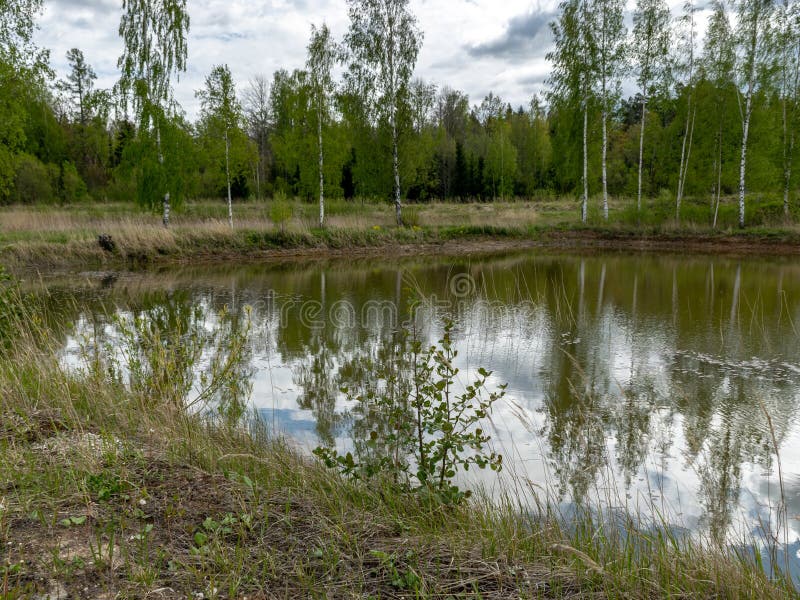 Fish Ponds, Cumulus Clouds and Trees Reflected on the Lake Water Stock ...