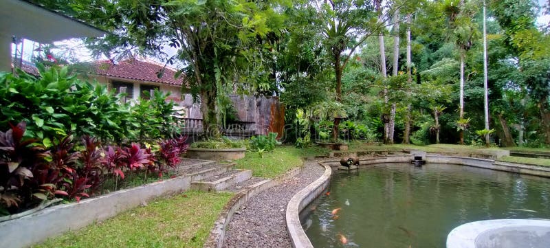 Fish pool and old house stock image. Image of pool, hijau - 279749007