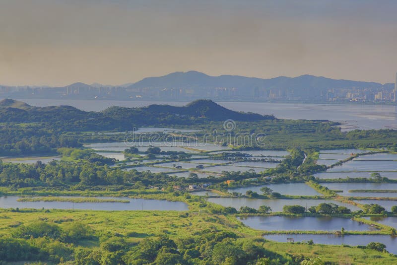 Fish Pool at Yuen Long 1 June 2014 Stock Photo - Image of countries ...