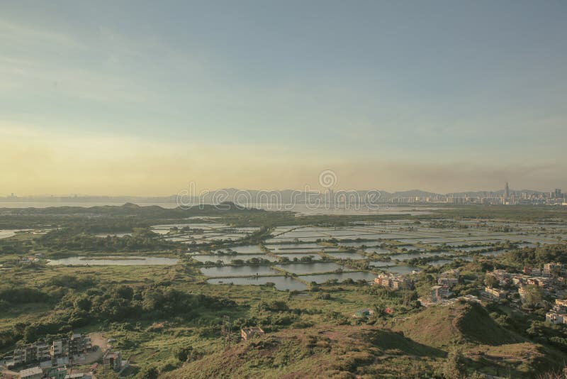 Fish Pool at Yuen Long 1 June 2014 Stock Image - Image of business ...