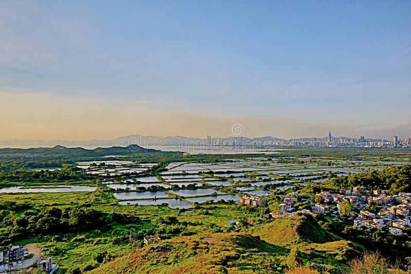 Fish Pool at Yuen Long 1 June 2014 Stock Photo - Image of fishery ...