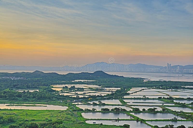 Fish Pool at Yuen Long 1 June 2014 Stock Image - Image of farming ...
