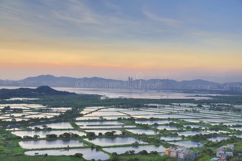 Fish Pool at Yuen Long 1 June 2014 Stock Image - Image of fish ...