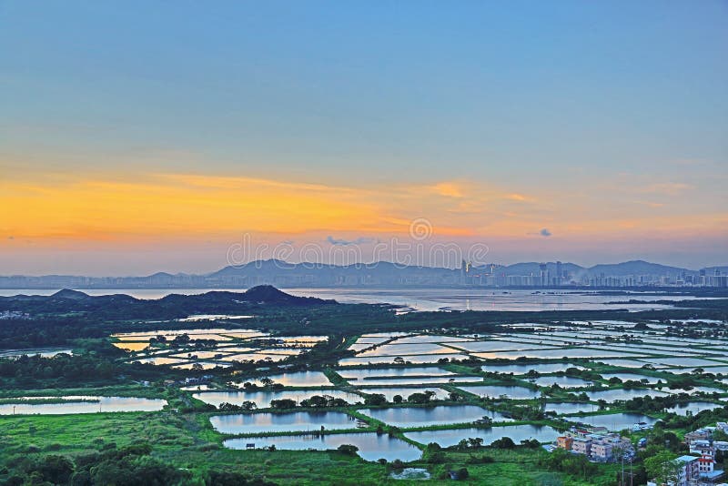 Fish Pool at Yuen Long 1 June 2014 Stock Image - Image of environment ...