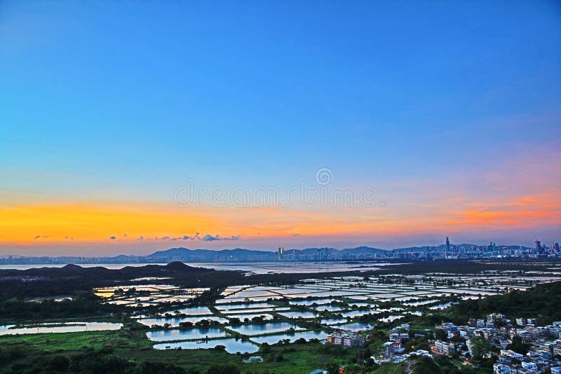 Fish Pool at Yuen Long 1 June 2014 Stock Image - Image of business ...