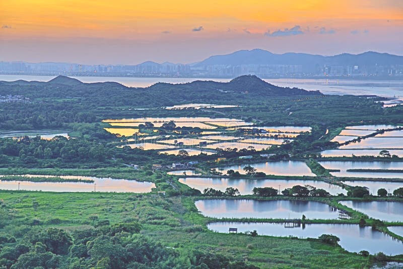Fish Pool at Yuen Long 1 June 2014 Stock Photo - Image of boat, cage ...