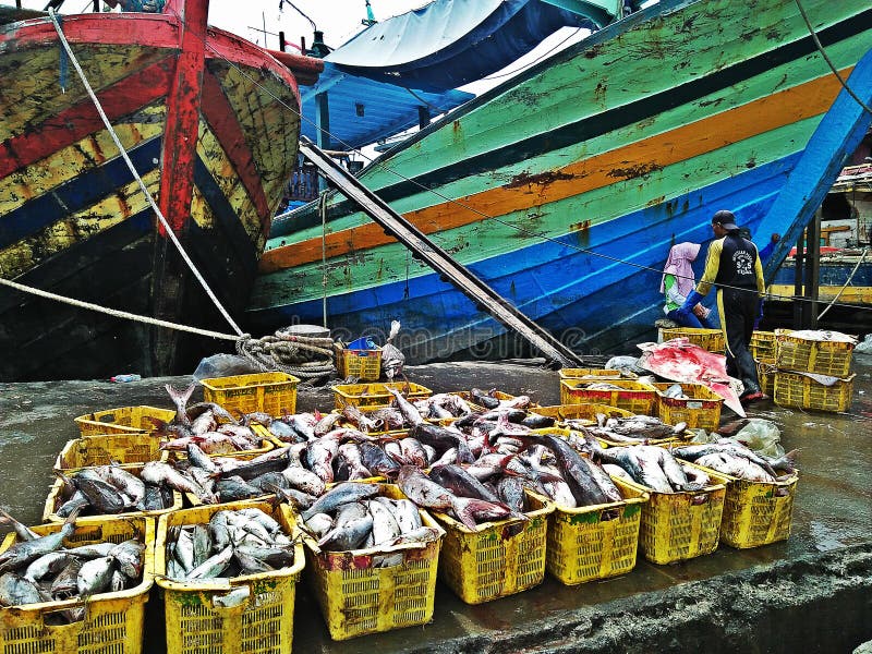 Fish port editorial photography. Image of activity, view - 100933122