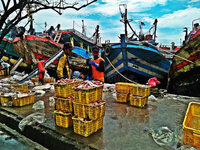 Fish Port in General Santos. South Cotabato, Philippines. Editorial ...