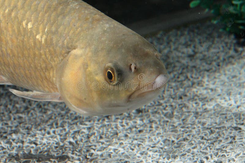 Pron Stock Photos - Free & Royalty-Free Stock Photos from Dreamstime