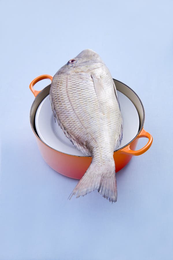 Fish in the pot stock image. Image of flag, counter, flow - 39558831