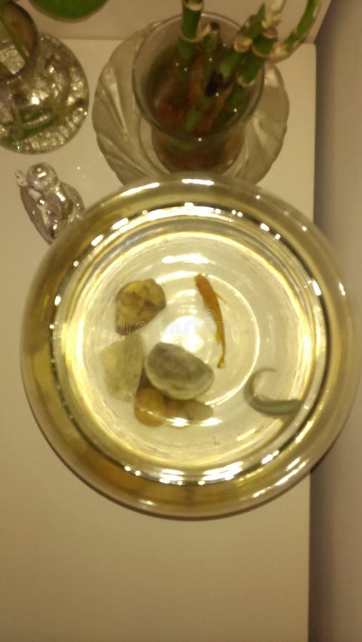 Fish Pot Top View with One Gold Fish and One Silver Fish on Wooden ...