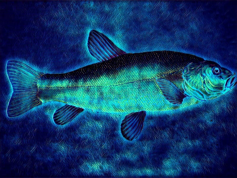 Glowing Emerald Green and Turquoise Blue Freshwater Fish of TENCH ...