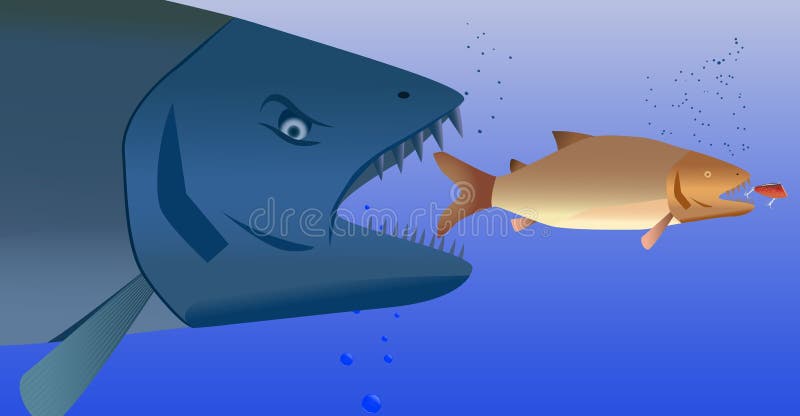 Fish predator stock vector. Illustration of food, fishing - 31993205
