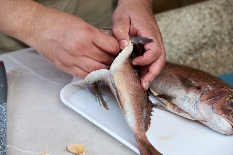 Raw Authentic Aspect Stock Photos - Free & Royalty-Free Stock Photos ...