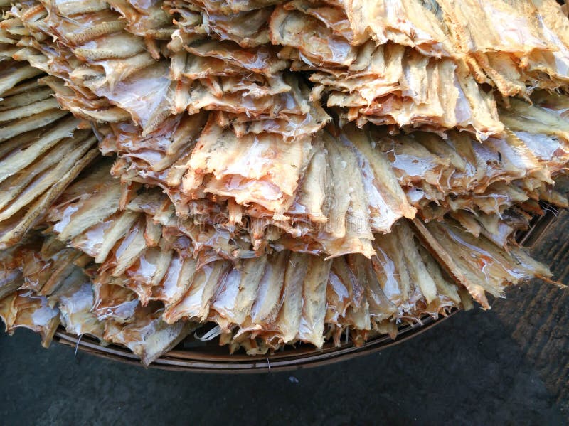 Fish Preserve by Sun Process Stock Photo - Image of preserve, smell ...