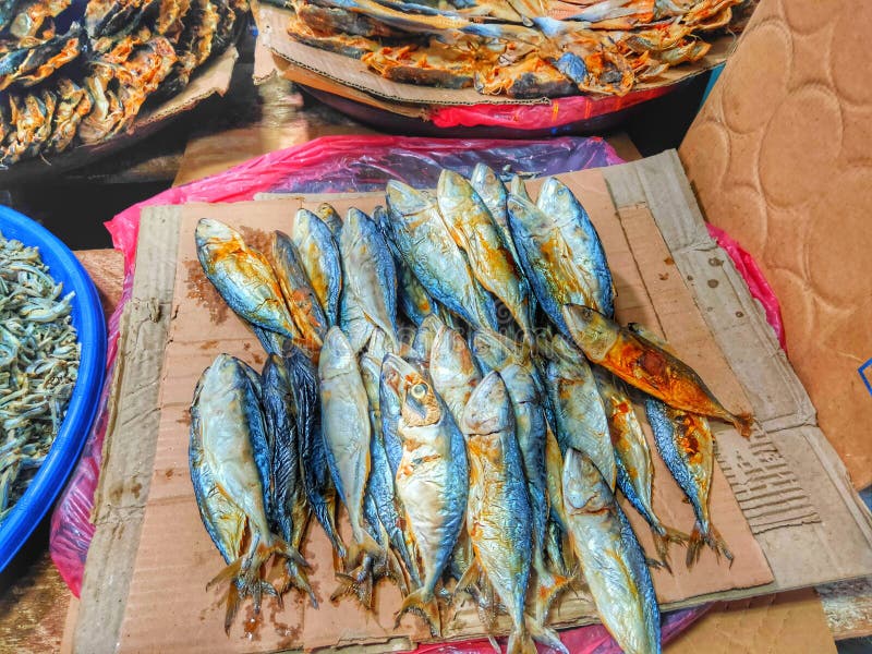 Fish preserved by salting stock image. Image of tatsy - 204248097