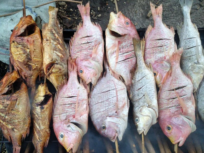 Fish that is Processed by Smoking, Using Firewood Placed in the Grill ...