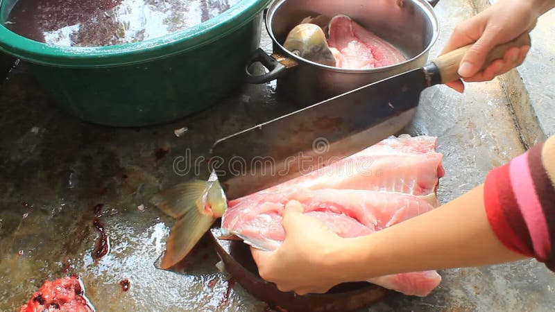 Fish-processing Factory Unit with the Staff at Work. Food Processing ...