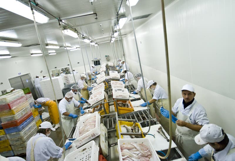 Fish processing factory stock image. Image of aerial, company - 6772563