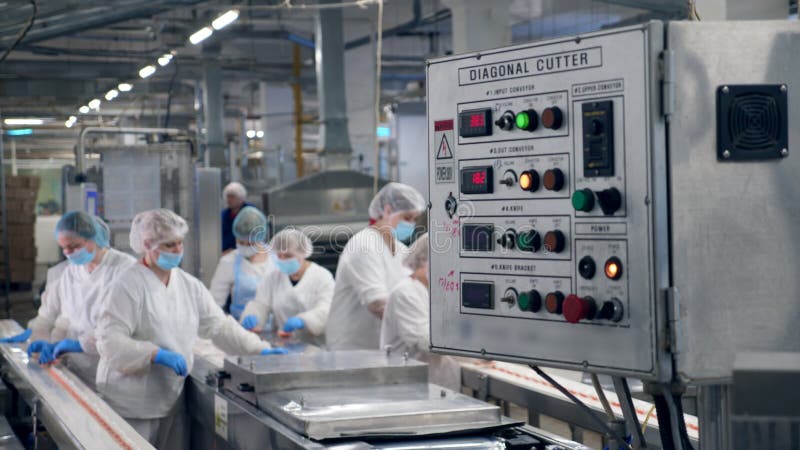 Fish-processing Factory Unit with the Staff at Work. Food Processing ...