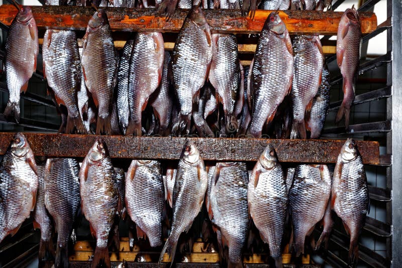 Fish Processing, Fish Factory Stock Photo - Image of frozen, farming ...
