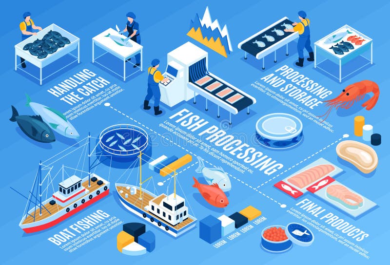 Fish Processing Horizontal Infographics Stock Vector - Illustration of ...