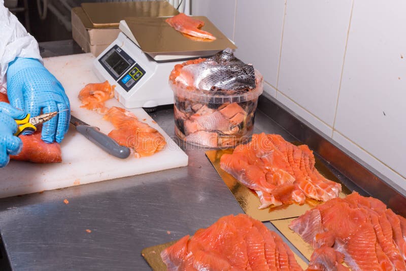 Fish Production. Worker Cleans Fish from Bones for Further Packaging ...