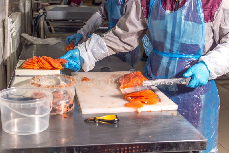 Fish Production. Worker Weighs Fish Pieces on the Scales. Packaging ...