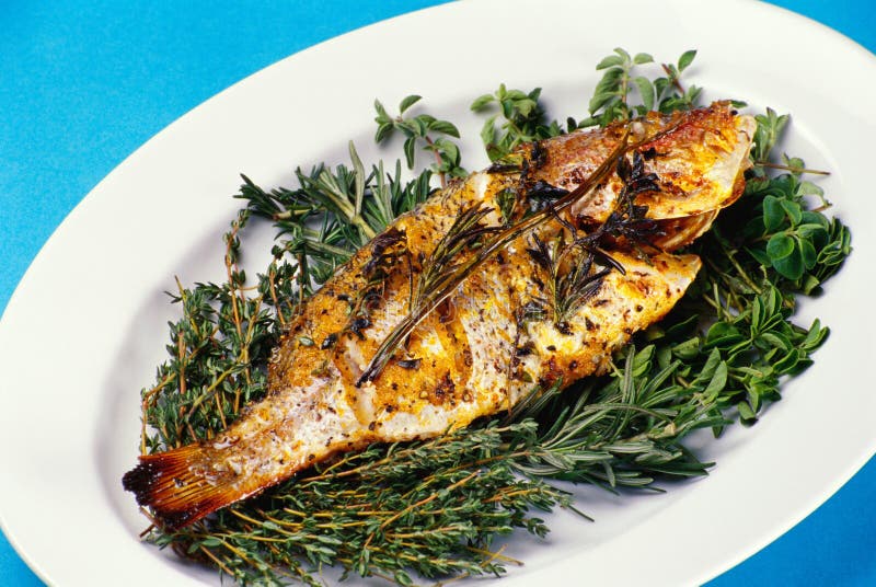 Indian Fish rawas India stock photo. Image of gastronomy - 348657080