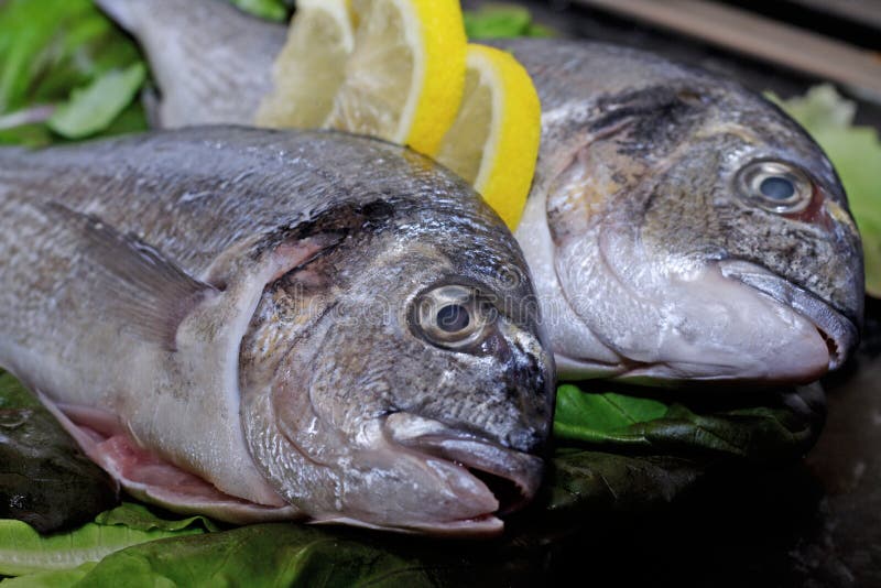Fish ready to cook stock photo. Image of cook, diet, omega - 11295854