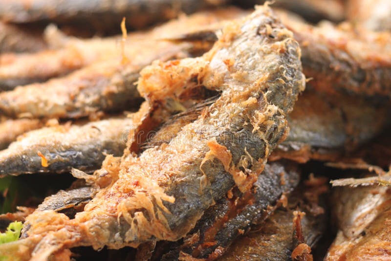 Fish ready to eat stock image. Image of table, ready - 79473653