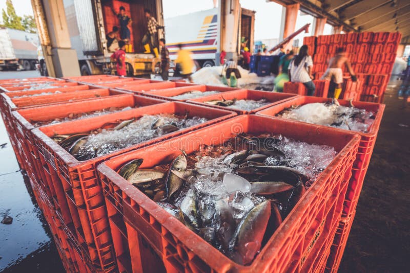 Fish in Red Basket and Defocused of Worker Editorial Stock Image ...