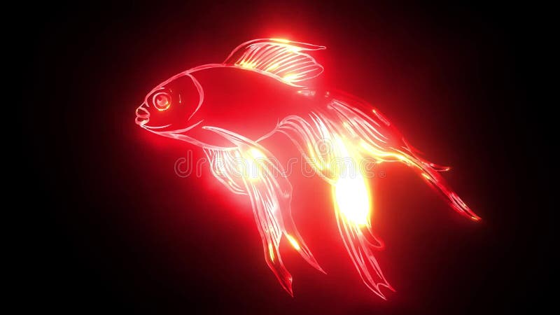 Fish Red Flat Video Animation Stock Footage - Video of biology, fishery ...