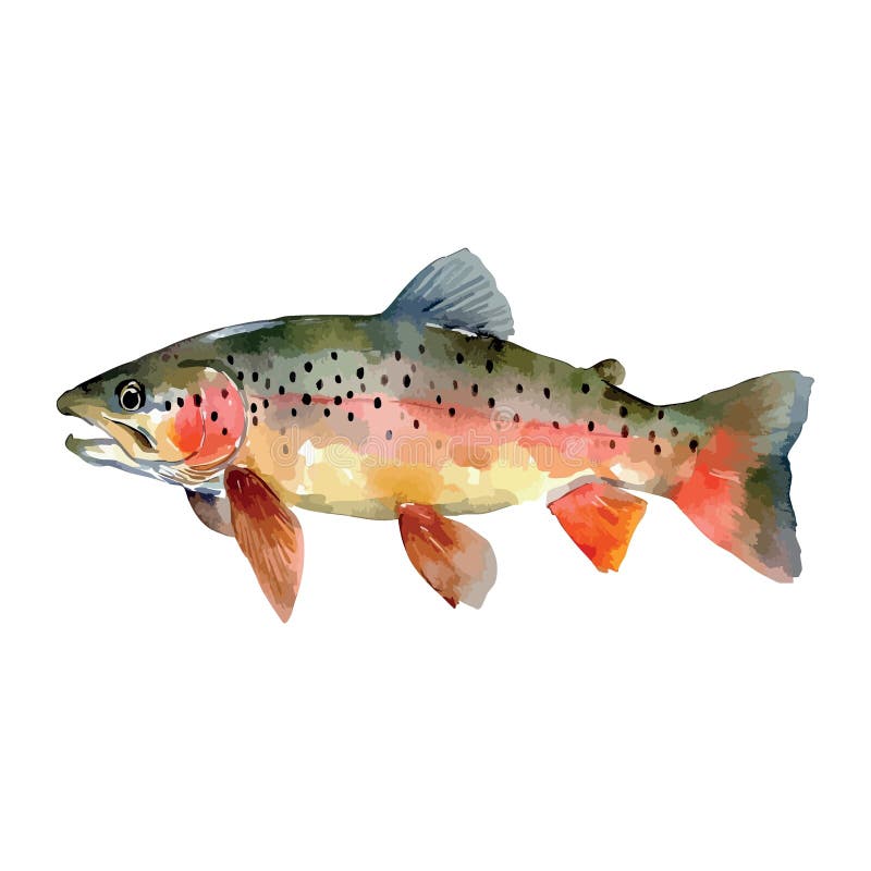 Fish with a Red Tail and Orange Fins. the Fish is Brown and Has Black ...