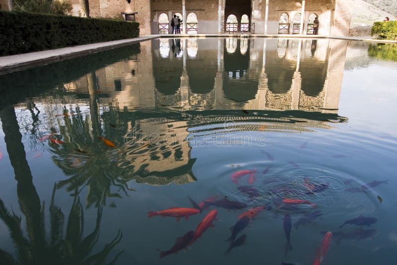 Fish and Reflections in Lake Stock Image - Image of scenic, reflection ...