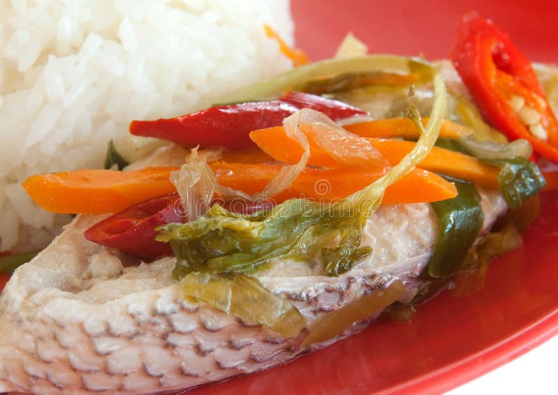 Fish with rice stock photo. Image of fish, greens, asian - 25843166