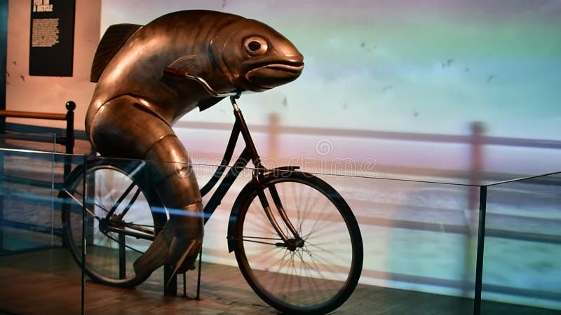 Fish Riding a Bike on the Ship Stock Footage - Video of bicycle, animal ...