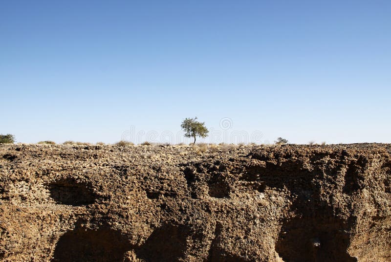 Fish River Canyon stock image. Image of africa, tree - 42756101
