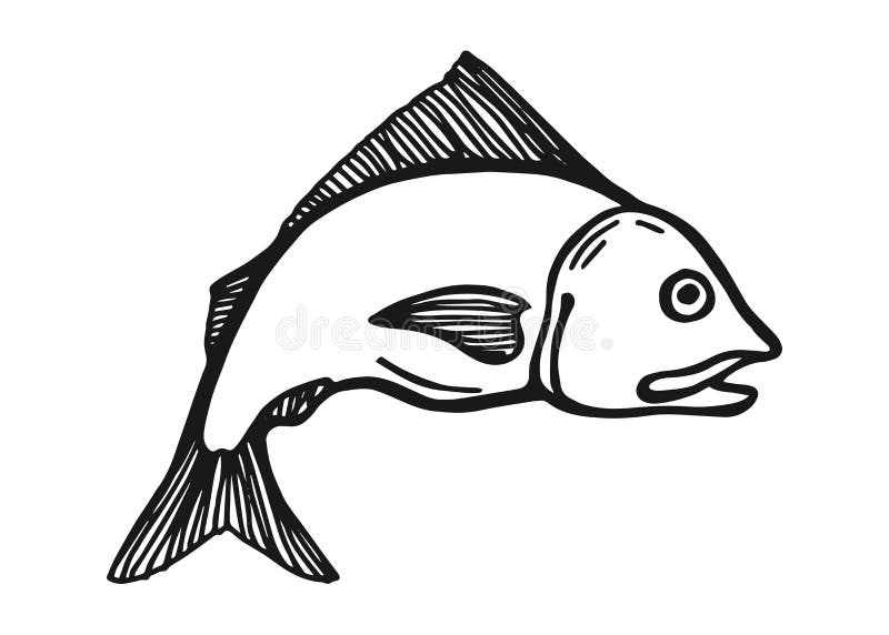 Fish River and Marine Vintage Set. Vector Hand Drawings Stock Vector ...