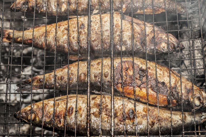 Fish roast stock photo. Image of food, refreshment, fish - 34162562